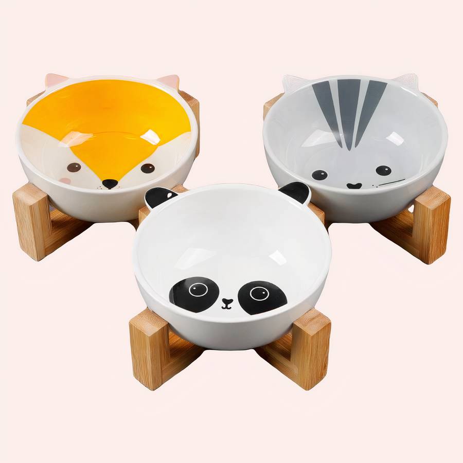 Bol chat - Chatounette