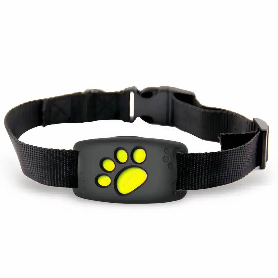 Collier GPS avec suivi en temps réel pour chat - Chatounette