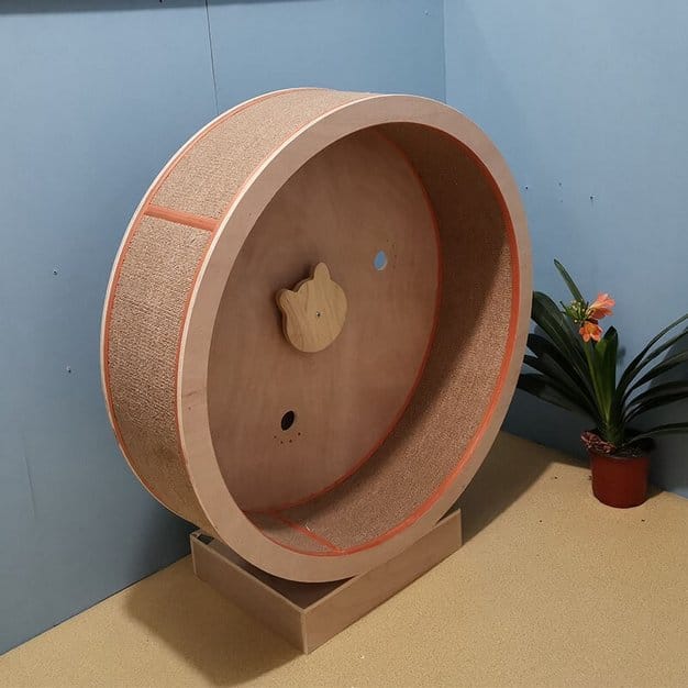 Roue de course pour chat - Chatounette