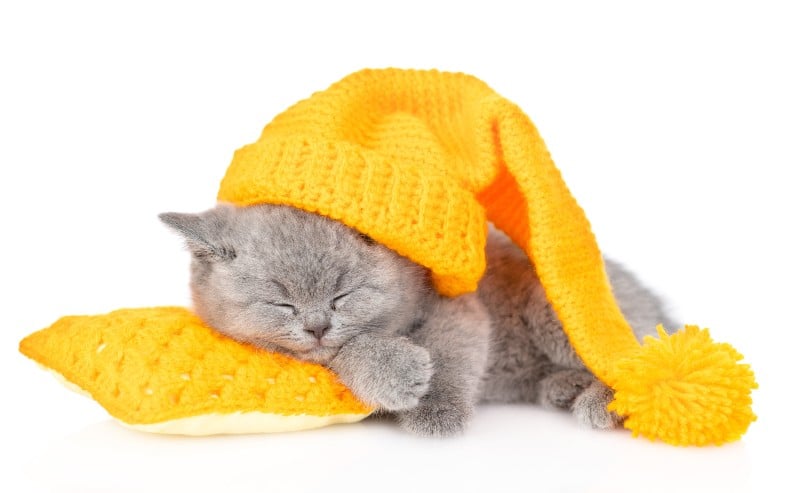 Bonnet chat - Chatounette