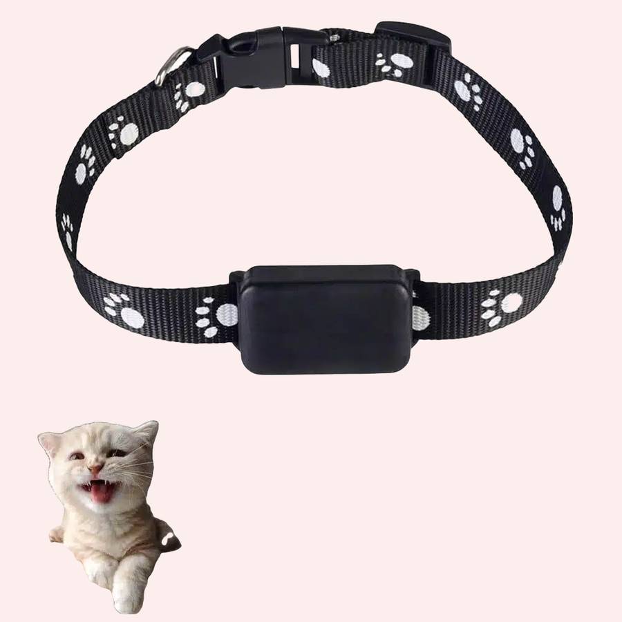 Collier de suivi GPS multifonctionnel pour chat - Chatounette
