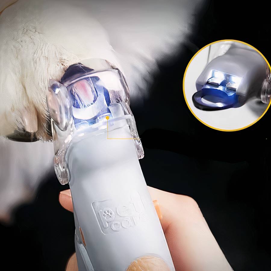 Coupe griffe LED en acier inoxydable pour chat - Chatounette