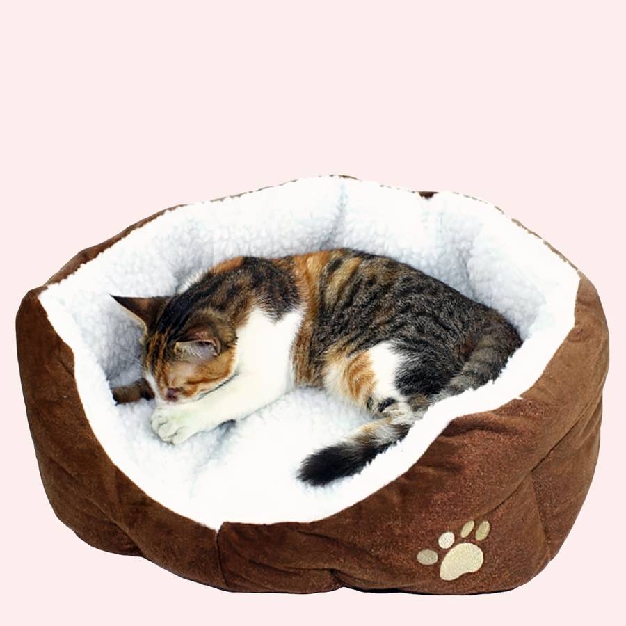 Coussins pour chats - Chatounette