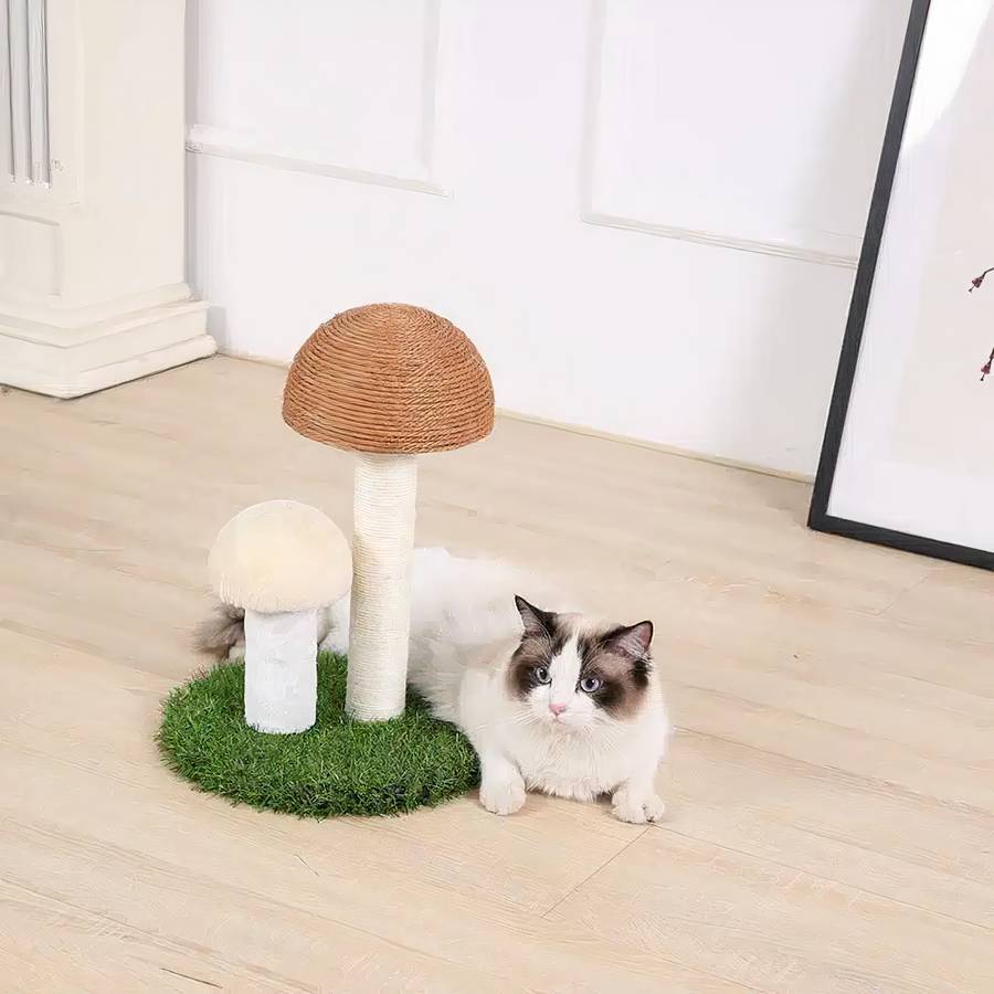 Planche à gratter en forme de champignon pour chat - Chatounette
