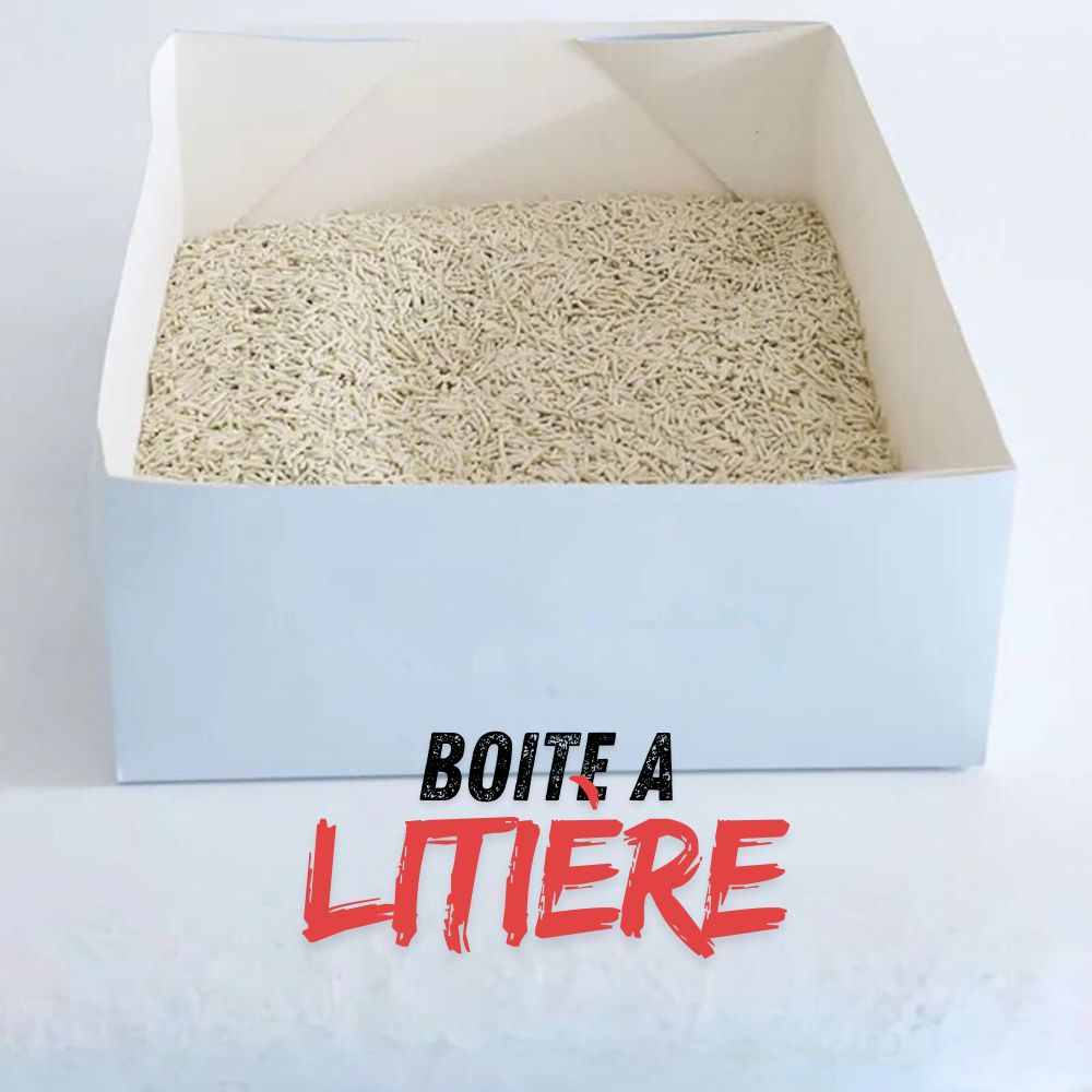 Boites à litière en carton jetable - Chatounette