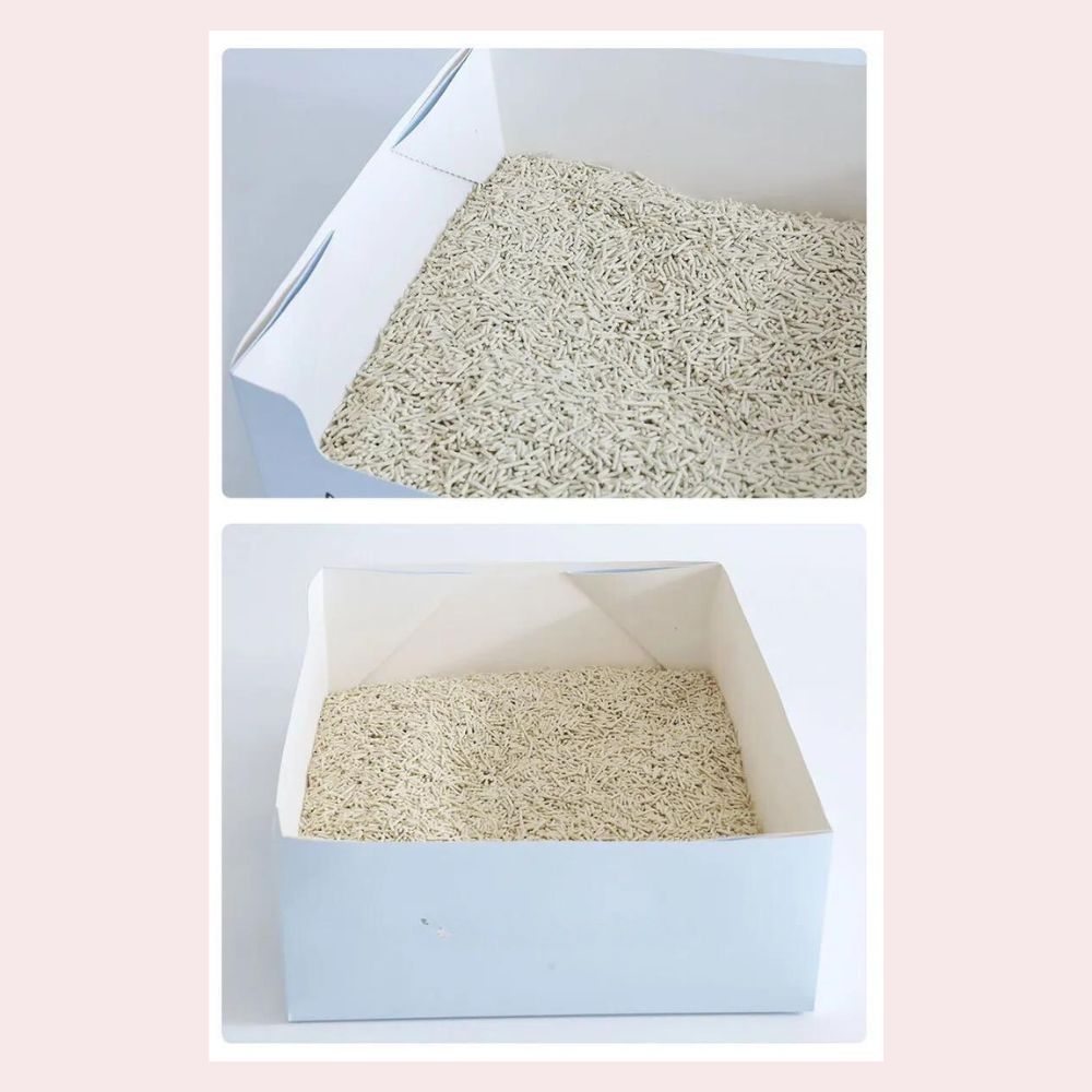 Boites à litière en carton jetable - Chatounette